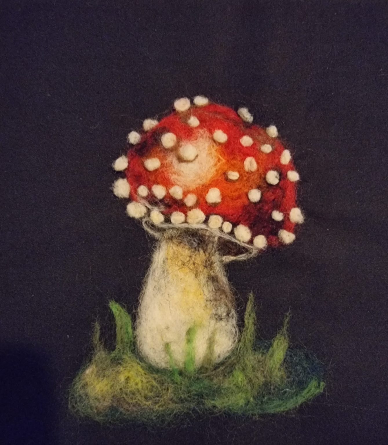 Felting Classes – Raising Vital Funds - Lower Moss Wood